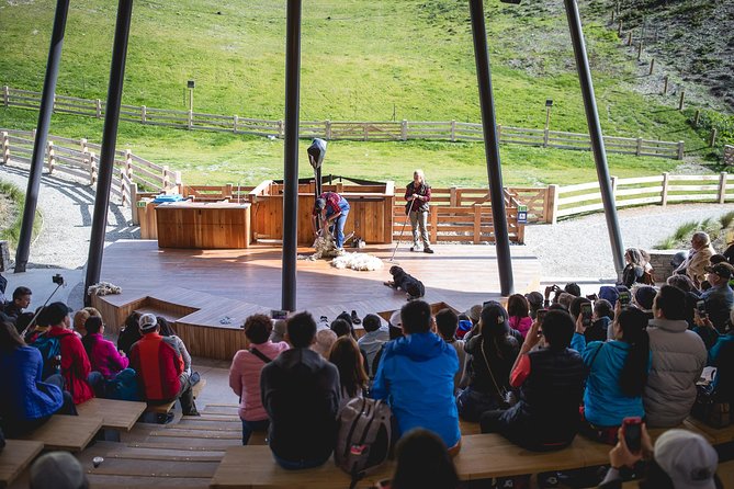 Walter Peak Gourmet BBQ Lunch & Queenstown Lake Cruise - Who Should Consider This Tour?