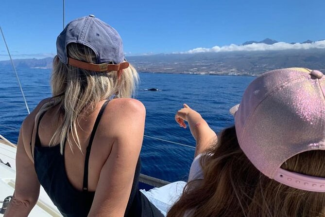 Whale and Dolphin Watching Yacht Trip in Puerto Colon - FAQ