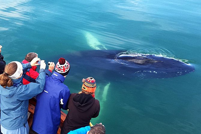 Whale Watching and Sea Angling Tour - Frequently Asked Questions (FAQs)