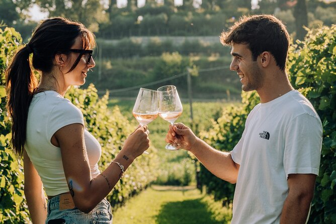 Wine and Food Tasting in the Vineyards in Lazise - Practicalities: What Travelers Should Know