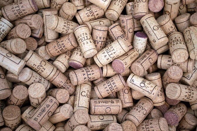 Wine tasting THE CLASSICS - Frequently Asked Questions