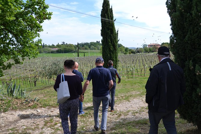 Winery Tour and Tasting of Garda Wines in Lazise - Final Thoughts on Value and Suitability