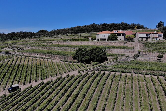 Winery Tour and Wine Tasting Quinta da Portela de Baixo in Lamego - FAQ