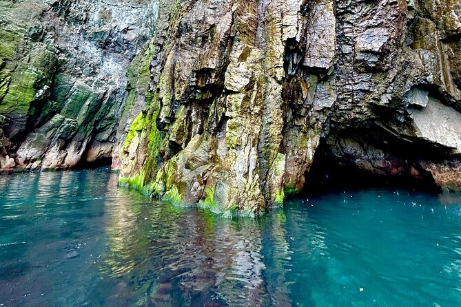 1 Hour Iceland Nature and Wildlife RIB Small Group Guided Safari - Final Thoughts: Is It Worth It?