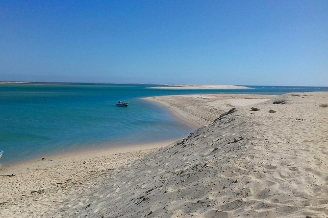 2-hour Bird Watching Guided Boat Trip in Ria Formosa from Faro Algarve - The Sum Up
