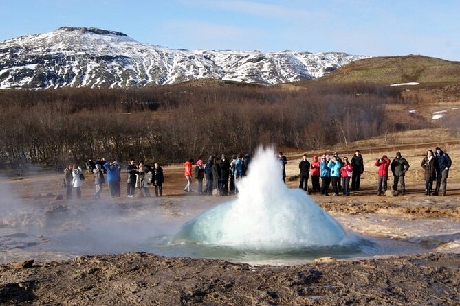 5-Days Land of Northern Lights Tour from Reykjavík - Final Word