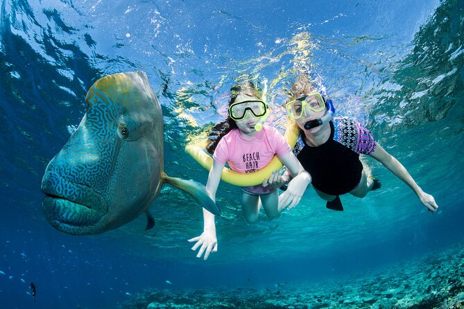 ABC Snorkel Charters Port Douglas Snorkelling max 12 passengers - The Sum Up