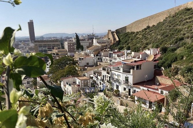 Alicante Historic Small Group Tour with Tapas Tasting - Is This Tour Good Value?
