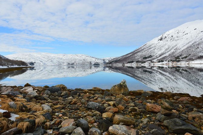 Arctic fjord and Landscape Tour - Additional Notes