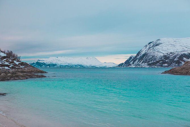 Arctic Fjord Sightseeing by Minibus - Final Thoughts: Is This Tour Right For You?