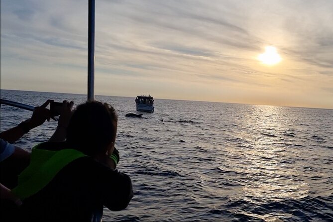 Beautiful Sunset and Dolphin Watching - Final Thoughts
