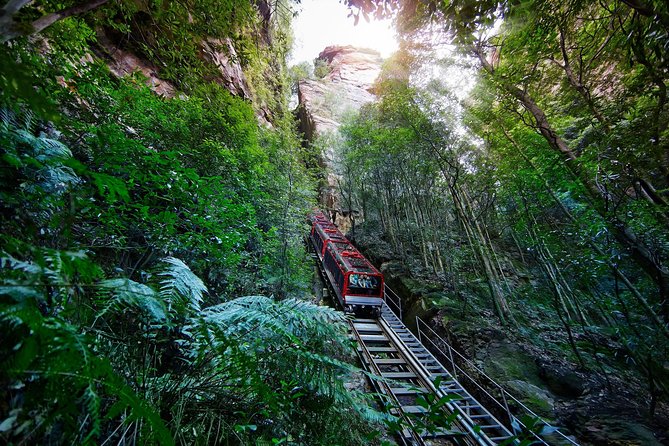 Blue Mountains Small-Group Tour from Sydney with Scenic World,Sydney Zoo & Ferry - FAQ