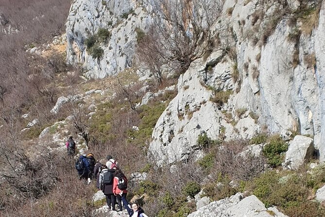 Bovilla lake Hiking Experience - The Final Word: Is It Worth It?