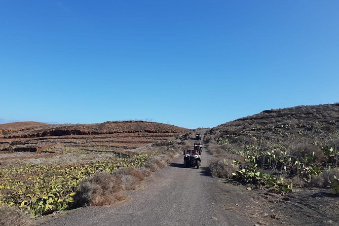 Buggy 3h Guided tour of the north of Lanzarote - Who Should Consider This Tour?