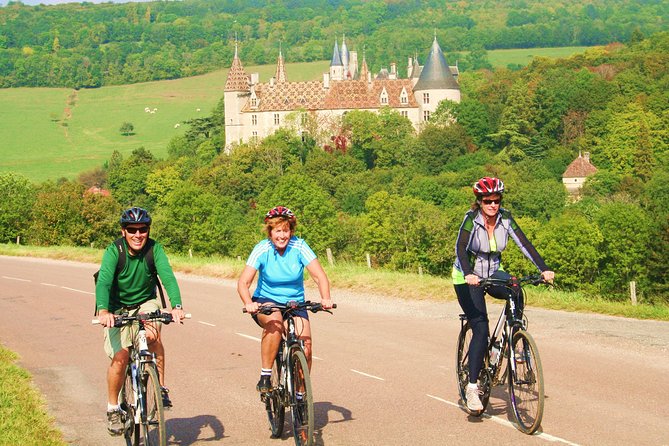 Burgundy Bike Tour with Wine Tasting from Beaune - Practical Tips for Travelers