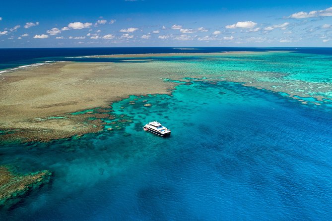 Calypso Outer Great Barrier Reef Cruise from Port Douglas - What Reviewers Love Most