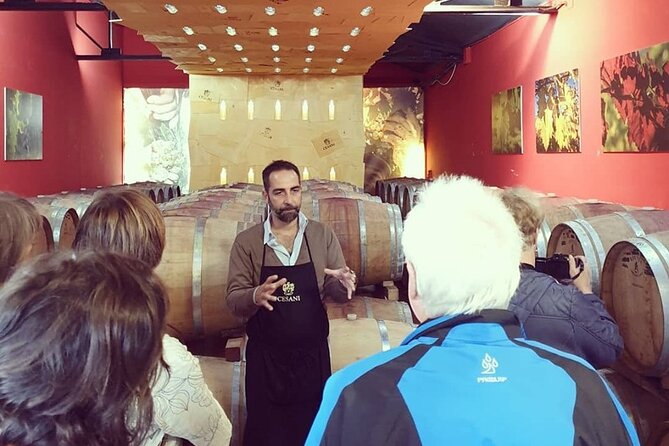 Cesani Wine Experience - The Sum Up: A genuine taste of Tuscany