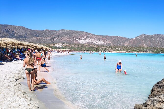 Chania: Elafonisi & Falasarna Private Tour w/olive oil tasting - Practical Tips for Travelers