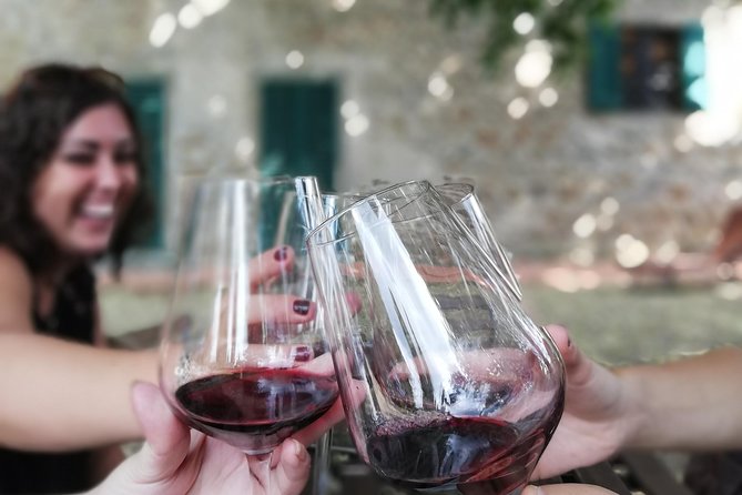 Chianti Wine Tour with Tuscan Lunch Open Top Van - The Sum Up: Who Will Love This Tour?