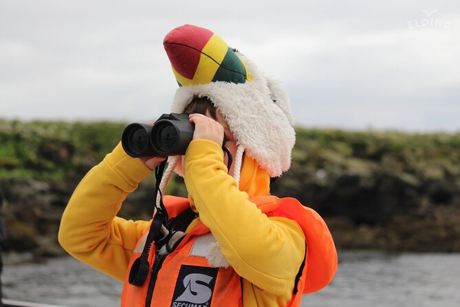 Classic Puffin Watching Cruise from Downtown Reykjavík - FAQ