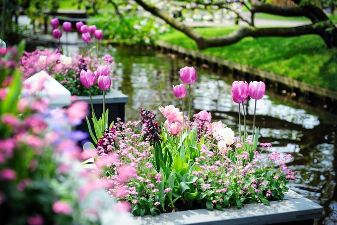 Day Trip to Keukenhof Gardens from Amsterdam with Tour Guide - What the Reviews Tell Us