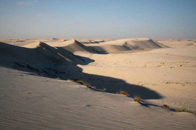 Desert safari, Dune bashing, sandboarding, camel, ATV Option - Analyzing the Cost and Value