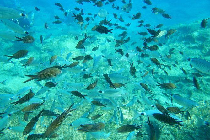 Discover Scuba Diving - Practical Details: What You Need to Know