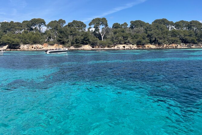 Discover the Lérins Islands and the Bay of Cannes by Private Boat - Frequently Asked Questions