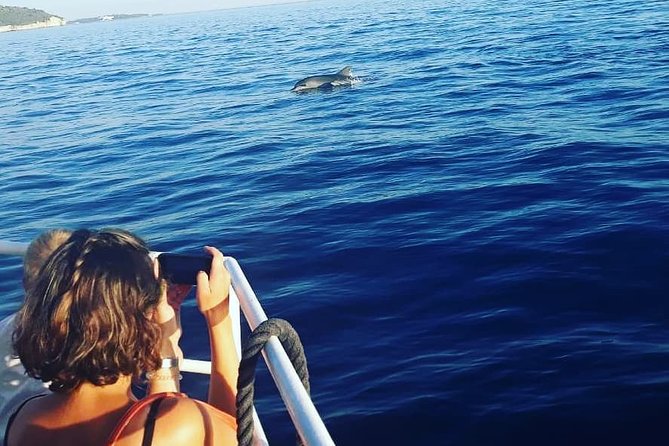 Dolphin Watching & Sunset Boat Tour With Dinner and Drinks - Who Will Love This Tour?