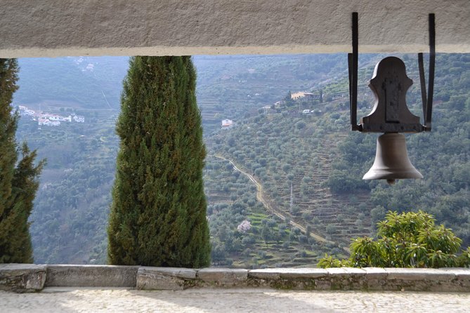 Douro Valley Tour: 2 Vineyard Visits, River Cruise, Winery Lunch - Diet and Accessibility