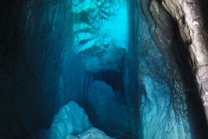 Emerald River Tour, Triglav National Park & Soa valley Day Trip - Who Will Love This Tour?