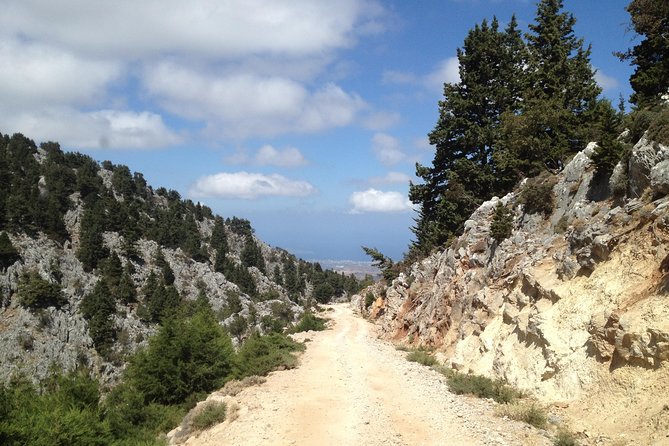 Explore the White Mountains of Crete - Final Thoughts: Who Is This Tour Perfect For?
