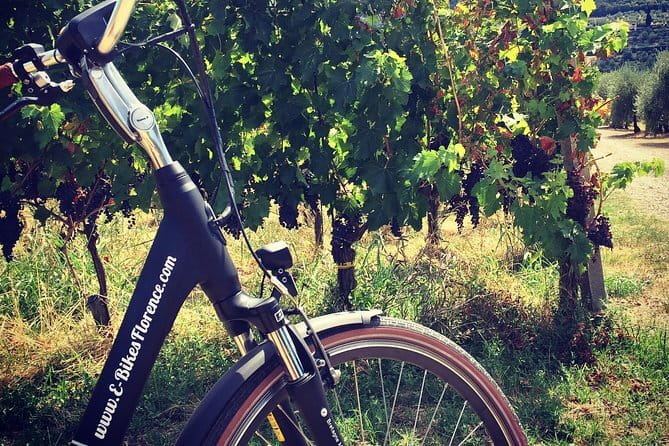 Fiesole: Tuscan Countryside Half Day E-Bike Tour & Farm visit - FAQ