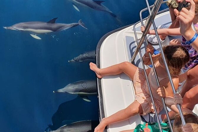From Lagos: Dolphin Watching Cruise on a Catamaran - Pricing and Value