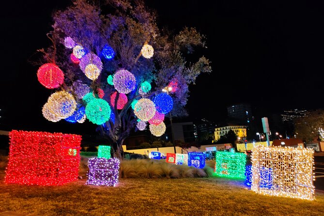 Funchal Christmas lights sightseeing night tour - FAQ