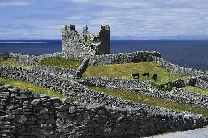 Galway to Aran Islands Inisheer, Doolin, Cliffs of Moher Day Tour - Final Thoughts