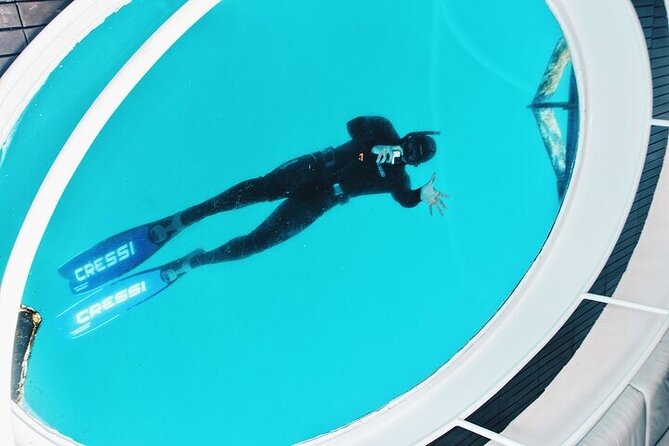 Glass Bottom Boat Tour & Snorkeling in São Miguel, Azores - FAQs