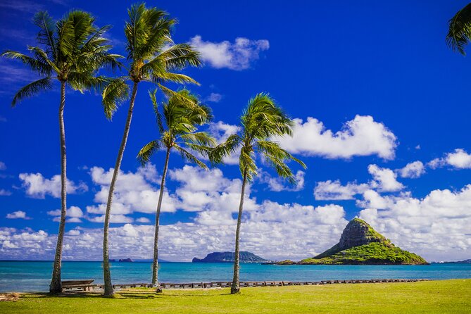 Grand Circle Island and Haleiwa 9 Hour Tour - Frequently Asked Questions (FAQs)