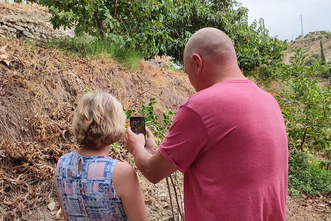 Guided Tour to the only coffee farm in Europe - Final Thoughts
