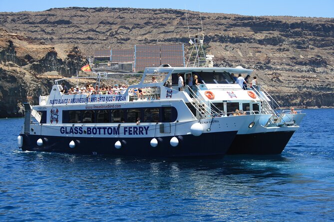 Half-Day Cruise Tour-Dolphin and Whale Watching - Practical Details to Keep in Mind