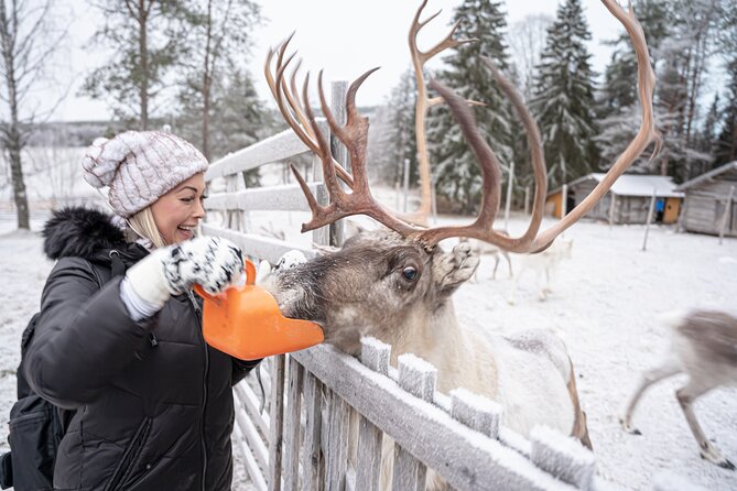 Half-Day Experience in Local reindeer farm in Lapland - Cozy End to the Tour with Food and Drinks