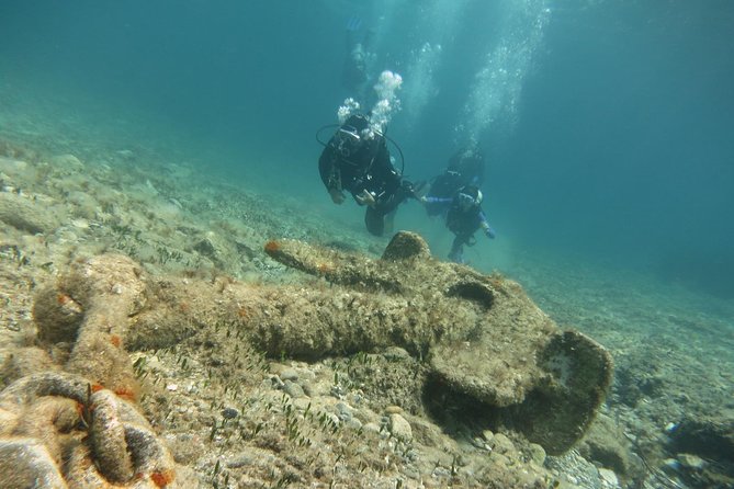 Half-Day Scuba Diving Tour - Discover Scuba Diving! - The Sum Up