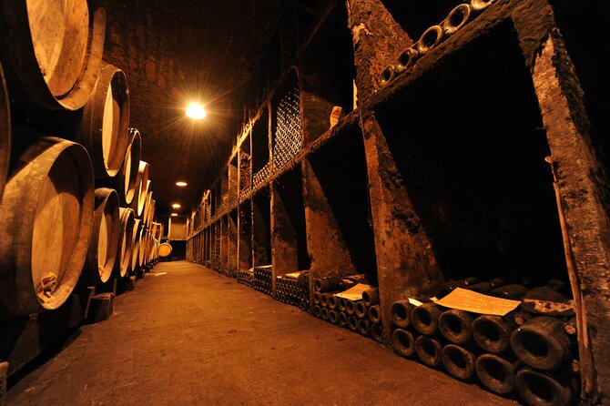 Half Day Tour of the Cote de Nuits Vineyards from Dijon - Practical Considerations