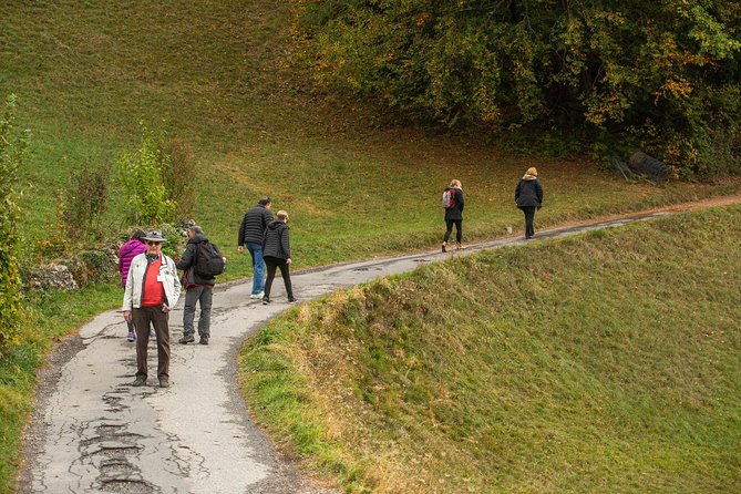 Heidiland and Liechtenstein Tour from Zurich - FAQ: Your Practical Tour Questions Answered