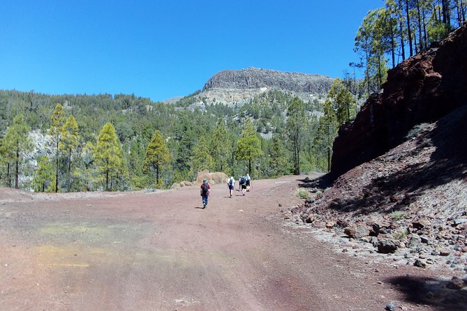 Hiking in Tenerife's Great Outdoors - What the Tour Includes and Excludes