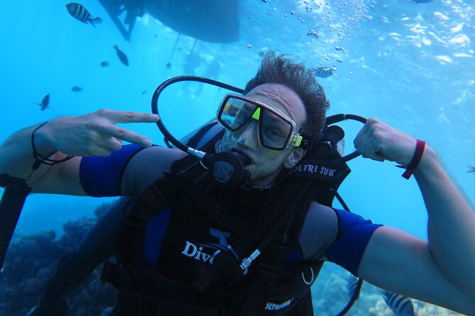 Intro Diving 2 Stops For Beginners with Pick-up and Lunch - Hurghada - The Overall Experience