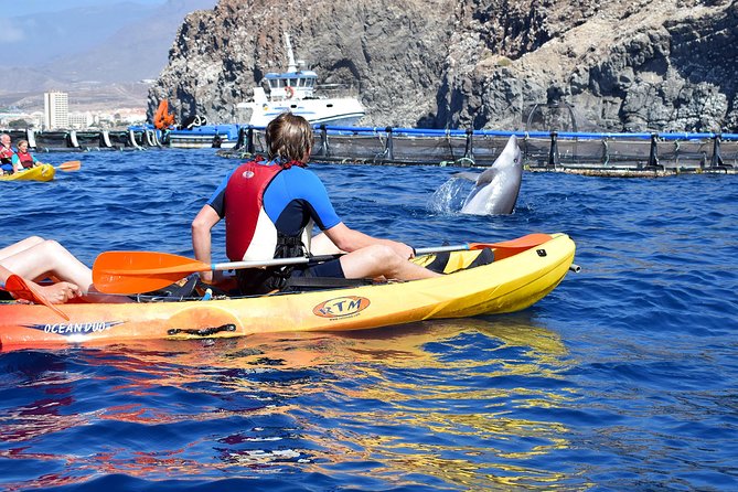 Kayaking with Dolphins and Turtles and Snorkelling in Tenerife - FAQ