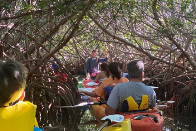 Key West Mangrove Kayak Eco Tour - In Closing