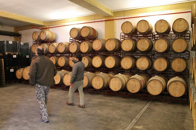 Lisbon Southern Region (Fernão Pó) Wine Tasting Private Tour - Additional Information