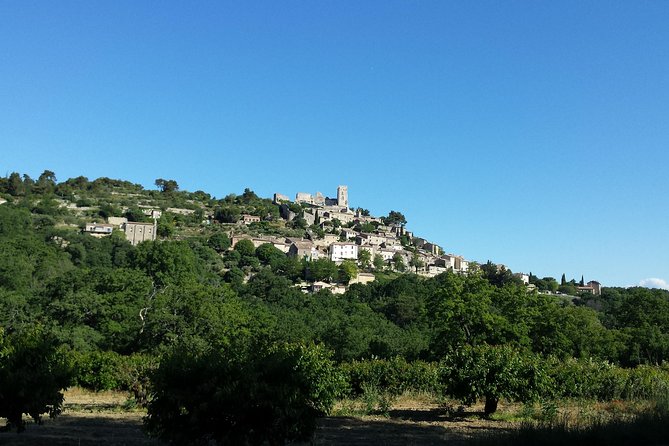Luberon, Roussillon & Gordes Half-Day Tour from Avignon - Analyzing the Value